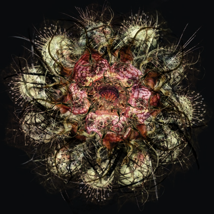 Rohini Devasher - Projects