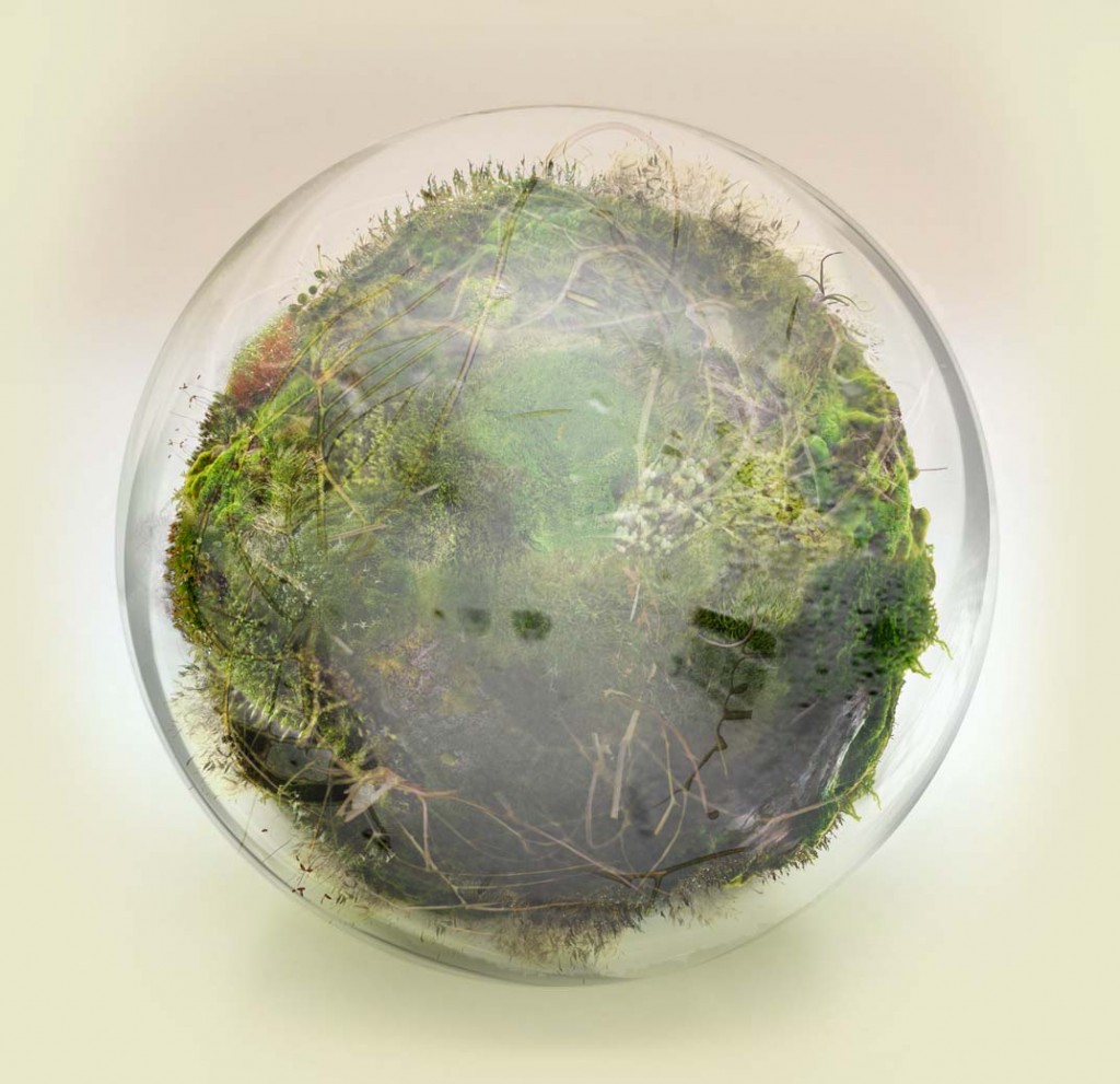 Rohini Devasher - Terrasphere