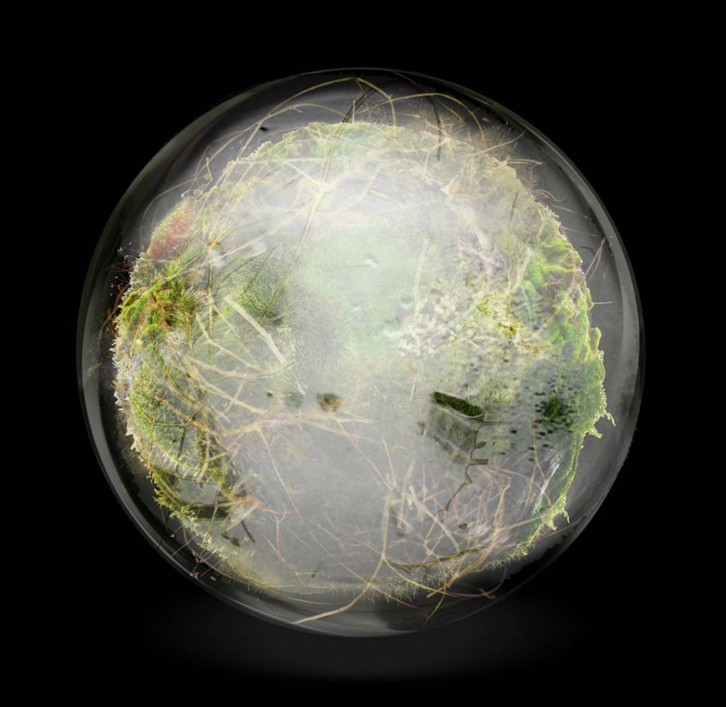 Rohini Devasher - Terrasphere