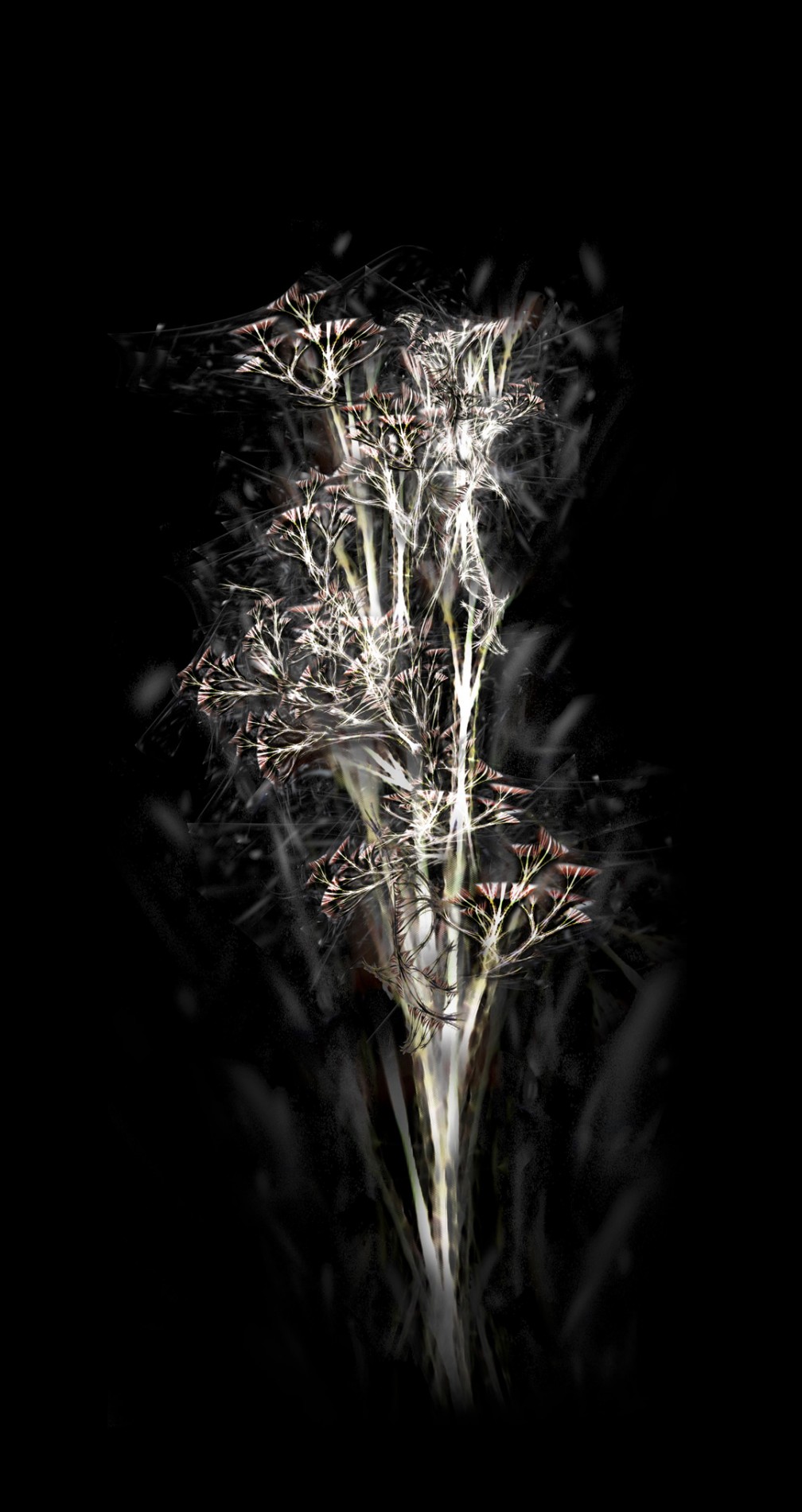 Rohini Devasher - bone tree