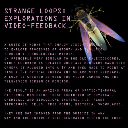 Rohini Devasher - Projects