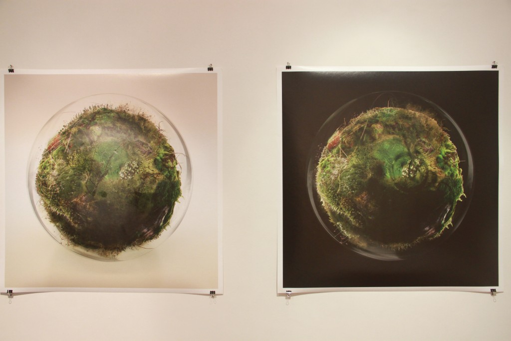 Rohini Devasher - Terrasphere