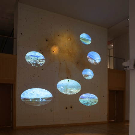 Rohini Devasher - Projects